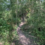 Komoka Provincial Park Loop, Ontario, Canada - 208 Reviews, Map | AllTrails