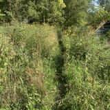 Komoka Provincial Park Loop, Ontario, Canada - 208 Reviews, Map | AllTrails