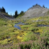 Skyline Loop, Washington - 17,625 Reviews, Map | AllTrails