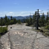 Mount Crawford via Davis Path Trail, New Hampshire - 1,201 Reviews, Map ...