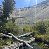 Barney Lake Trail, California - 1,317 Reviews, Map | AllTrails