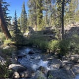 Barney Lake Trail, California - 1,317 Reviews, Map | AllTrails