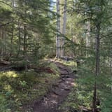 Helmcken Falls Rim Trail, British Columbia, Canada - 536 Reviews, Map ...