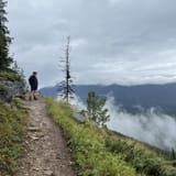 Castle Mountain Lookout Trail, Alberta, Canada - 2,230 Reviews, Map ...