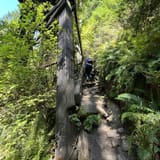 Foothills Trail: Fairfax Bridge to Carbonado, Washington - 319 Reviews ...