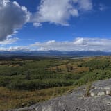 Curry Ridge Trail, Alaska - 1,129 Reviews, Map | AllTrails