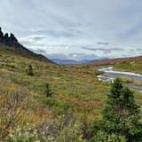 Savage River Loop, Alaska - 1,524 Reviews, Map | AllTrails