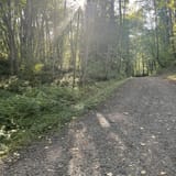 Red Town and Wildside Trails, Washington - 646 Reviews, Map | AllTrails