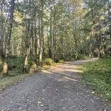 Red Town and Wildside Trails, Washington - 646 Reviews, Map | AllTrails