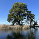 Lake Wendouree, Victoria, Australia - 346 Reviews, Map | AllTrails