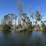 Lake Wendouree, Victoria, Australia - 346 Reviews, Map | AllTrails