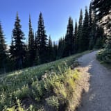 Shadow Lake Trail, Washington - 429 Reviews, Map | AllTrails