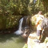 Coomera Circuit Walk, Queensland, Australia - 1,395 Reviews, Map ...