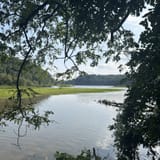 Gold Branch Trail, Georgia - 2,844 Reviews, Map | AllTrails