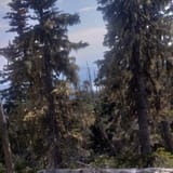 Mount Rose Trail, Washington - 1,383 Reviews, Map | AllTrails