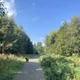 Chopwell Wood: Boundary Walk, Tyne and Wear, England - 84 Reviews, Map ...