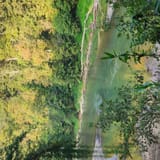 Dixon Cave, Green River Bluffs, and River Styx Spring Loop, Kentucky ...
