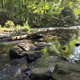 Old Mill Trail, Massachusetts - 302 Reviews, Map | AllTrails