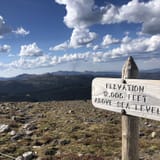 Alpine Ridge Trail, Colorado - 1,305 Reviews, Map | AllTrails