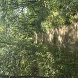 Snyder Flats Loop, Ontario, Canada - 551 Reviews, Map | AllTrails