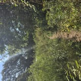 Snyder Flats Loop, Ontario, Canada - 539 Reviews, Map | AllTrails