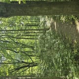 Snyder Flats Loop, Ontario, Canada - 539 Reviews, Map | AllTrails