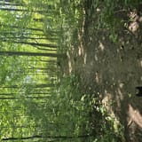 Snyder Flats Loop, Ontario, Canada - 539 Reviews, Map | AllTrails