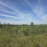 Snyder Flats Loop, Ontario, Canada - 539 Reviews, Map | AllTrails