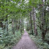 Lord Hill, Main Trail, and Temple Pond Loop Trail, Washington - 1,456 ...