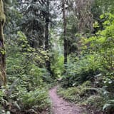 Lord Hill, Main Trail, and Temple Pond Loop Trail, Washington - 1,456 ...