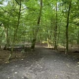 Yarrow Valley Country Park Circular, Lancashire, England - 327 Reviews ...