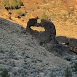 Timber Gulch, Oregon - 61 Reviews, Map | AllTrails