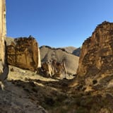 Timber Gulch, Oregon - 61 Reviews, Map | AllTrails