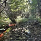 Dobson Trail, New Brunswick, Canada - 200 Reviews, Map | AllTrails