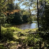 Homer Stone Trail, Vermont - 136 Reviews, Map | AllTrails