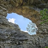 Window Cliffs Trail, Tennessee - 1,605 Reviews, Map | AllTrails