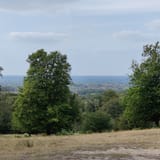 Epping Forest Main Path and Green Ride Circular, Essex, England - 1,242 ...