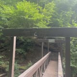 Tyler State Park Trail, Pennsylvania - 1,661 Reviews, Map | AllTrails