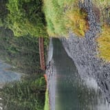 Tonsina Creek Trail, Alaska - 1,738 Reviews, Map | AllTrails