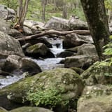 Reeves Brook Loop Trail, New York - 4,998 Reviews, Map | AllTrails