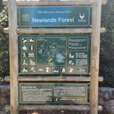 Newlands Forest via the Contour Path, Western Cape, South Africa - 703 ...