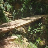 Newlands Forest via the Contour Path, Western Cape, South Africa - 703 ...