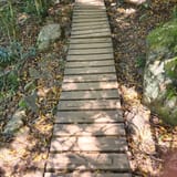 Newlands Forest via the Contour Path, Western Cape, South Africa - 703 ...