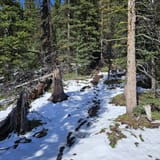 Little Lougheed, Alberta, Canada - 2,193 Reviews, Map | AllTrails