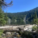 Ira Spring Memorial Trail, Washington - 2,437 Reviews, Map | AllTrails