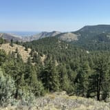 Beaver Brook Trail, Colorado - 1,519 Reviews, Map | AllTrails