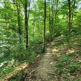Speedwell Forge Hiking Trail, Pennsylvania - 1,196 Reviews, Map | AllTrails