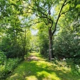 Speedwell Forge Hiking Trail, Pennsylvania - 1,196 Reviews, Map | AllTrails