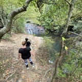 Kinlock Falls, Alabama - 273 Reviews, Map | AllTrails