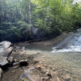 Roaring Run Trail, Virginia - 890 Reviews, Map | AllTrails
